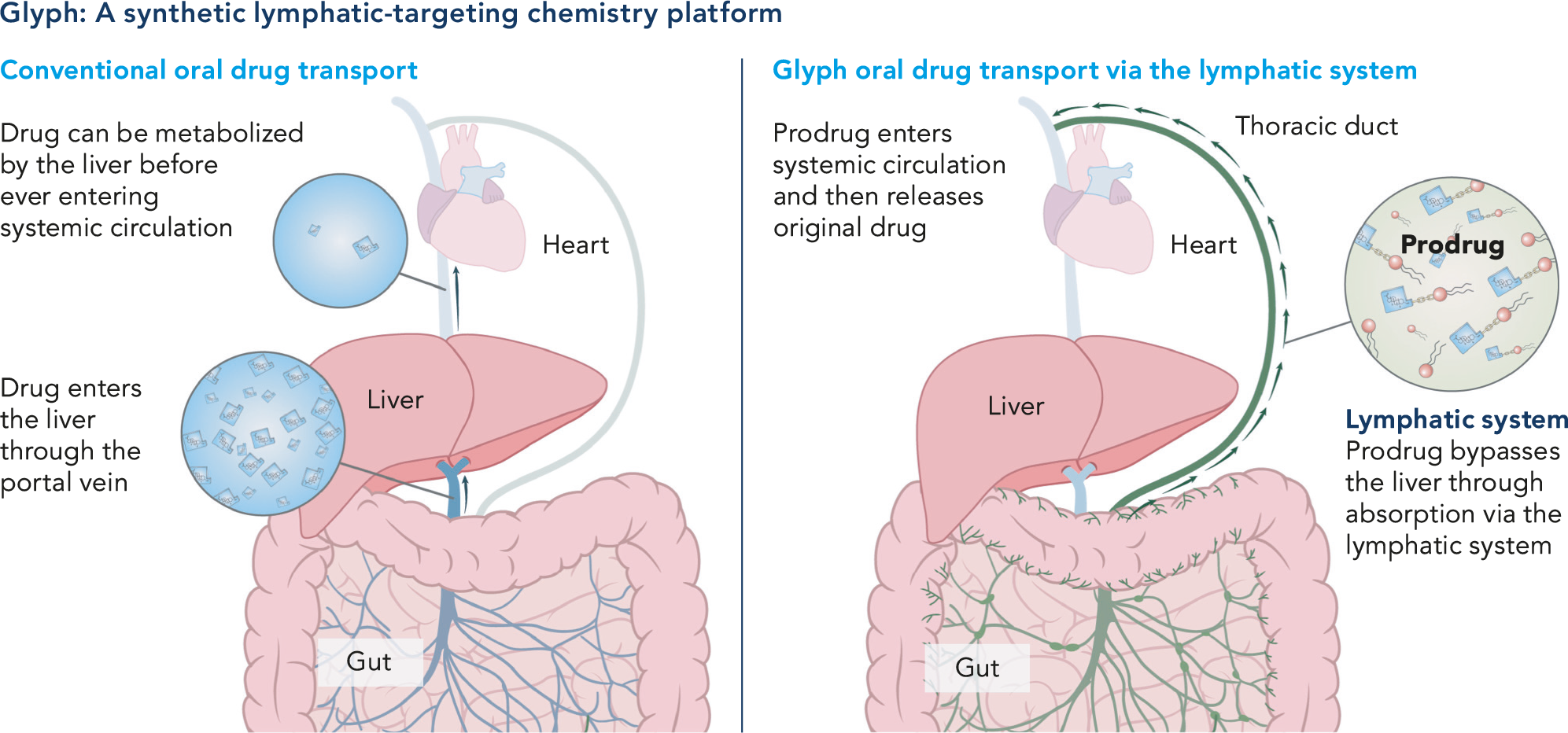 Glyph™ Technology Platform