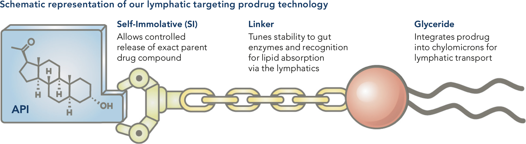 Glyph™ Technology Platform